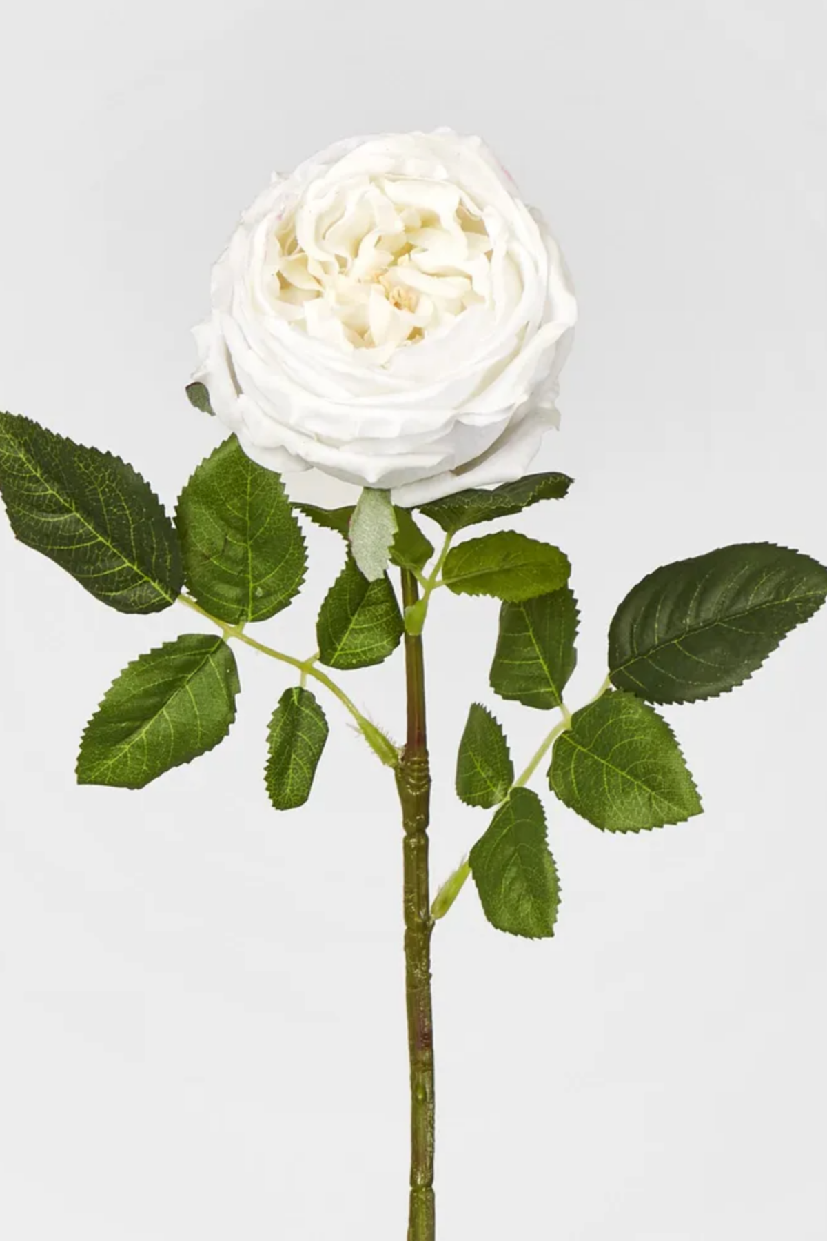 Dianna Real Touch Rose Stem White 60cm – The Farmers Wife