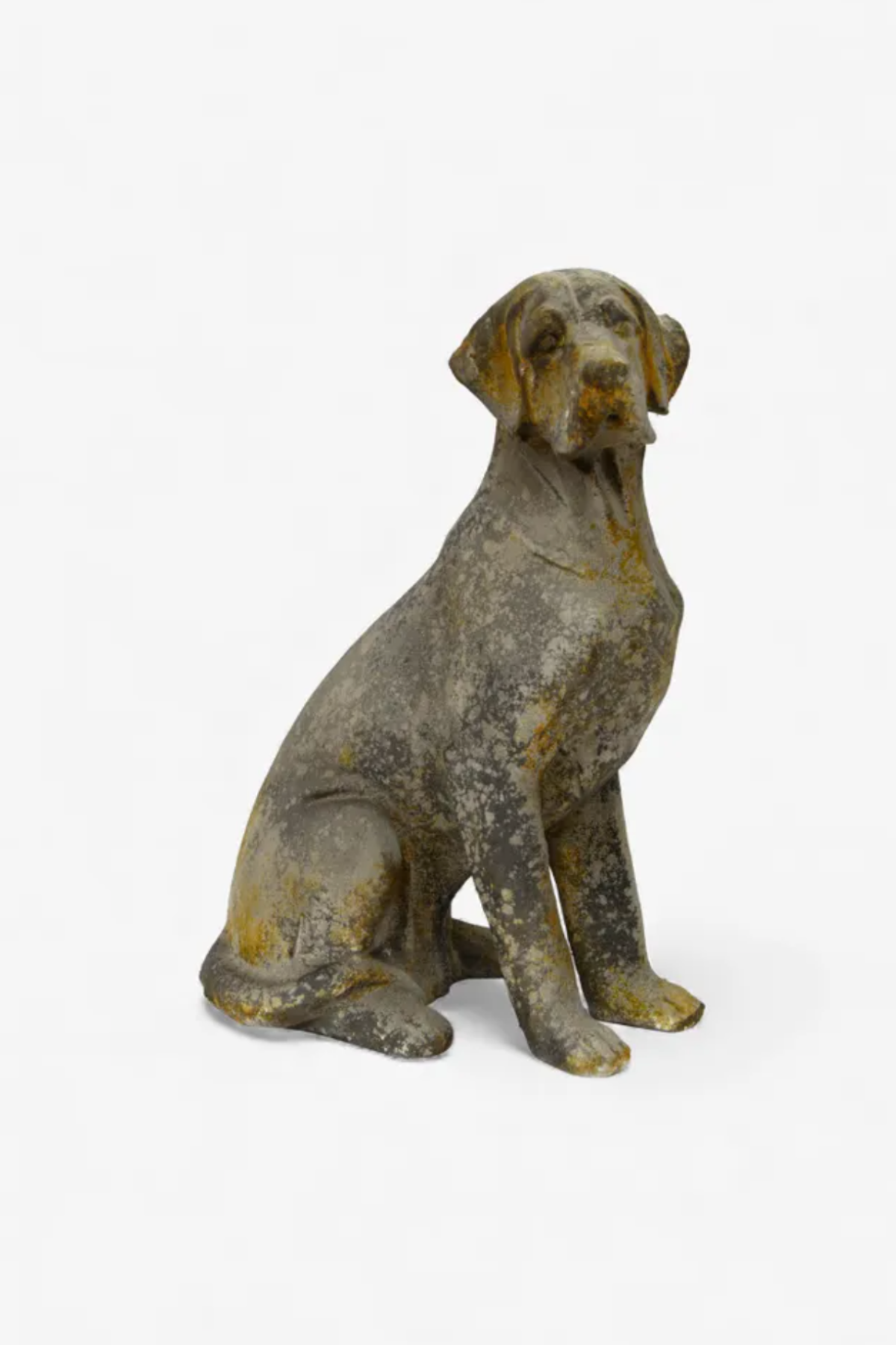 Baron Dog – The Farmers Wife